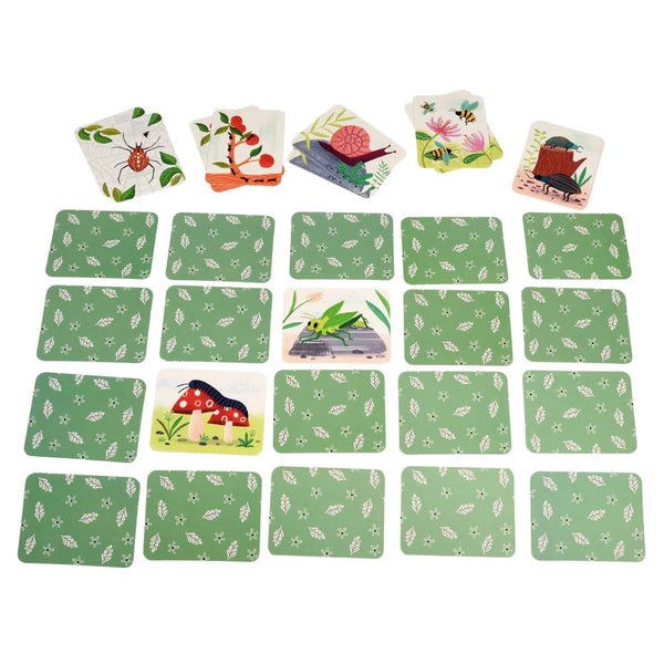 Rex London Memory Game - Wonders of Nature – Dragonfly Toys