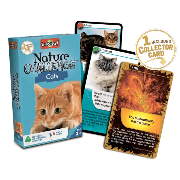 Nature Challenge - Cats Card Game – Dragonfly Toys
