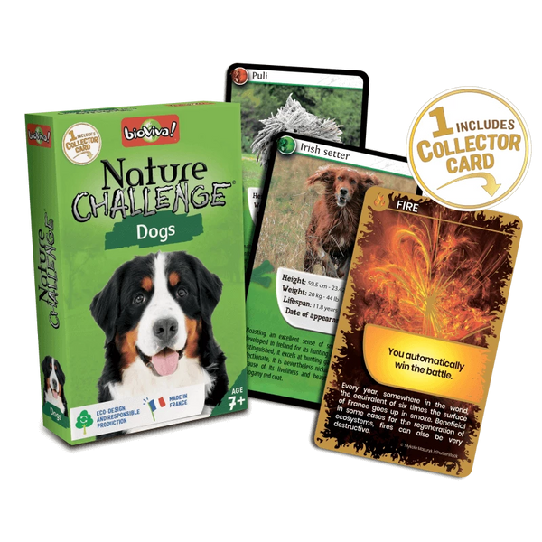 Nature Challenge - Dogs Card Game – Dragonfly Toys