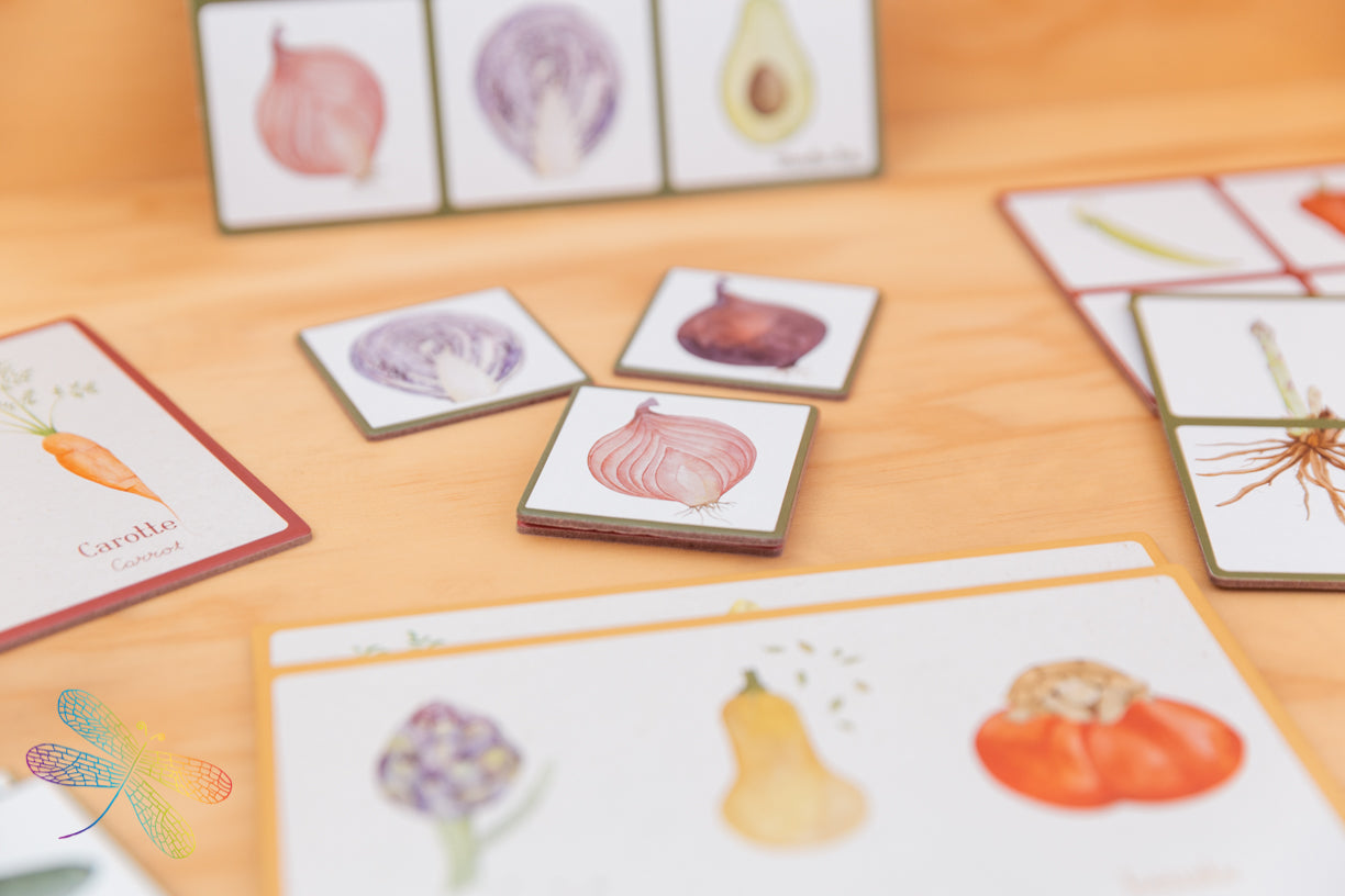Vegetable Lotto and Memory Game by Moulin Roty – Dragonfly Toys