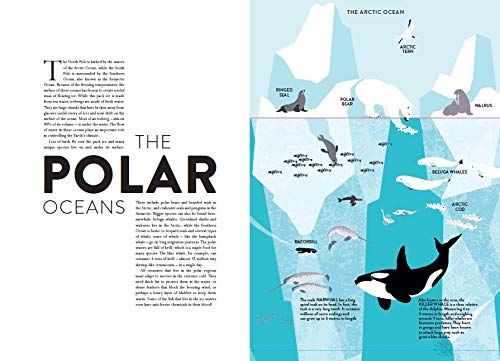 Ocean Cut Out Book – Dragonfly Toys