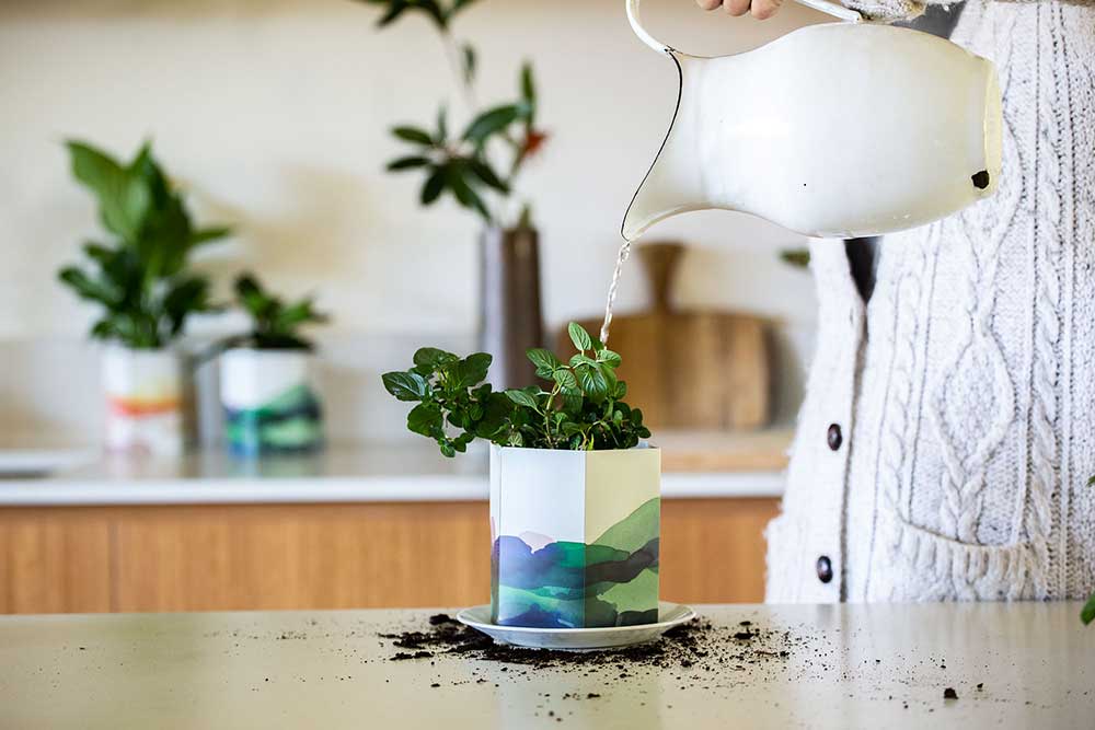 Pop Up Pots 'Mountain' – Dragonfly Toys