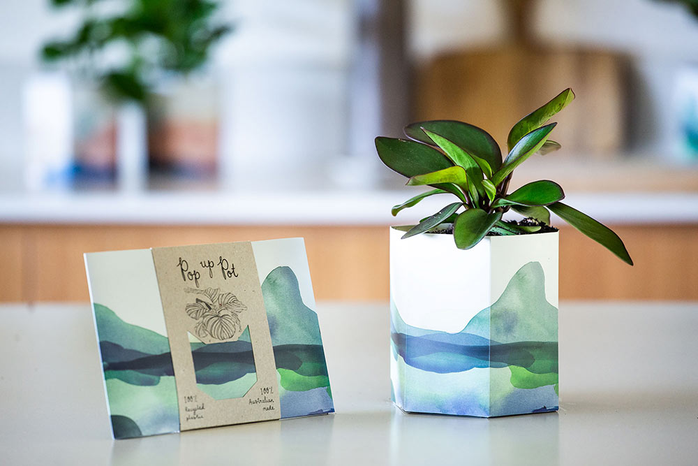 Pop Up Pots 'Mountain' – Dragonfly Toys
