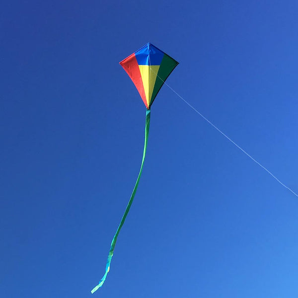 Compact Diamond Kite Red,Blue,Green and Yellow – Dragonfly Toys