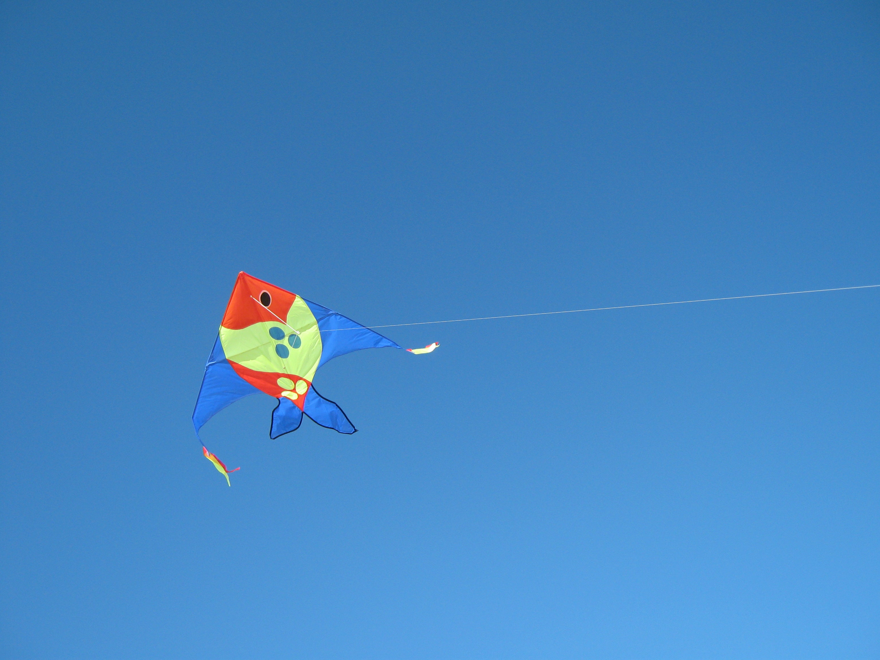 Large Fish Kite – Dragonfly Toys